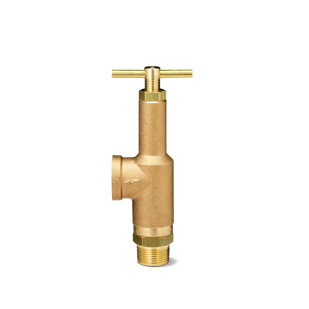 Piston-Type Pressure Relief Valve, 6815 | Spraying Systems Co.